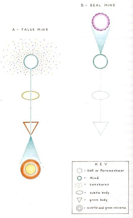 Problems with Infinite Intelligence